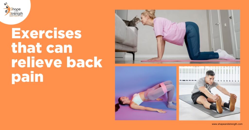 Physiotherapy Exercises for Lower Back Pain Relief & Recovery
